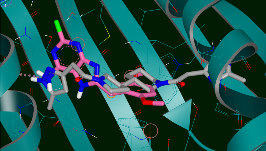 Molecular Docking Software for Virtual Screening