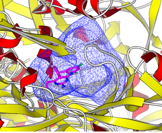 Applications and Toolkits Release 2020.2