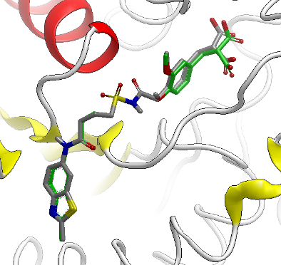 Structure-based drug discovery tools | OpenEye Scientific