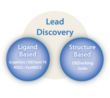 Ligand and Structure Lead Discovery for Drug Development