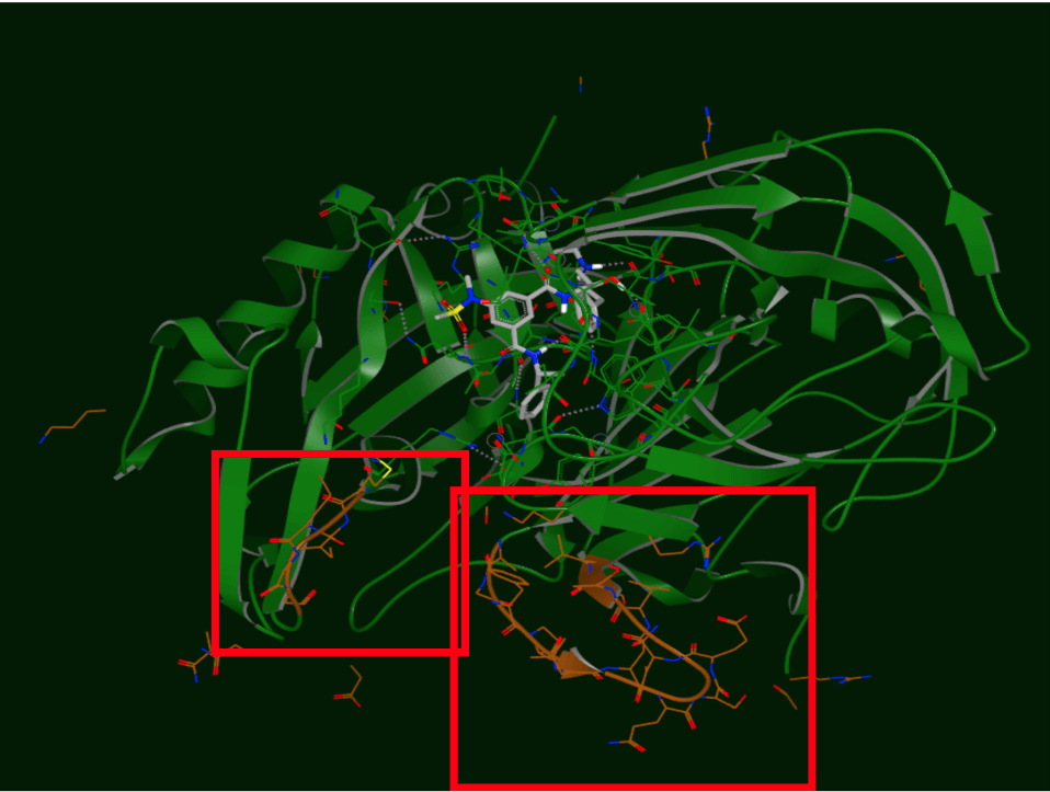 Structural Biology Software Tools | OpenEye Scientific