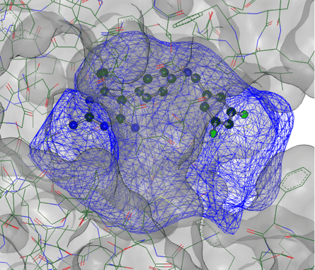 Computational Chemistry Solutions | OpenEye Scientific