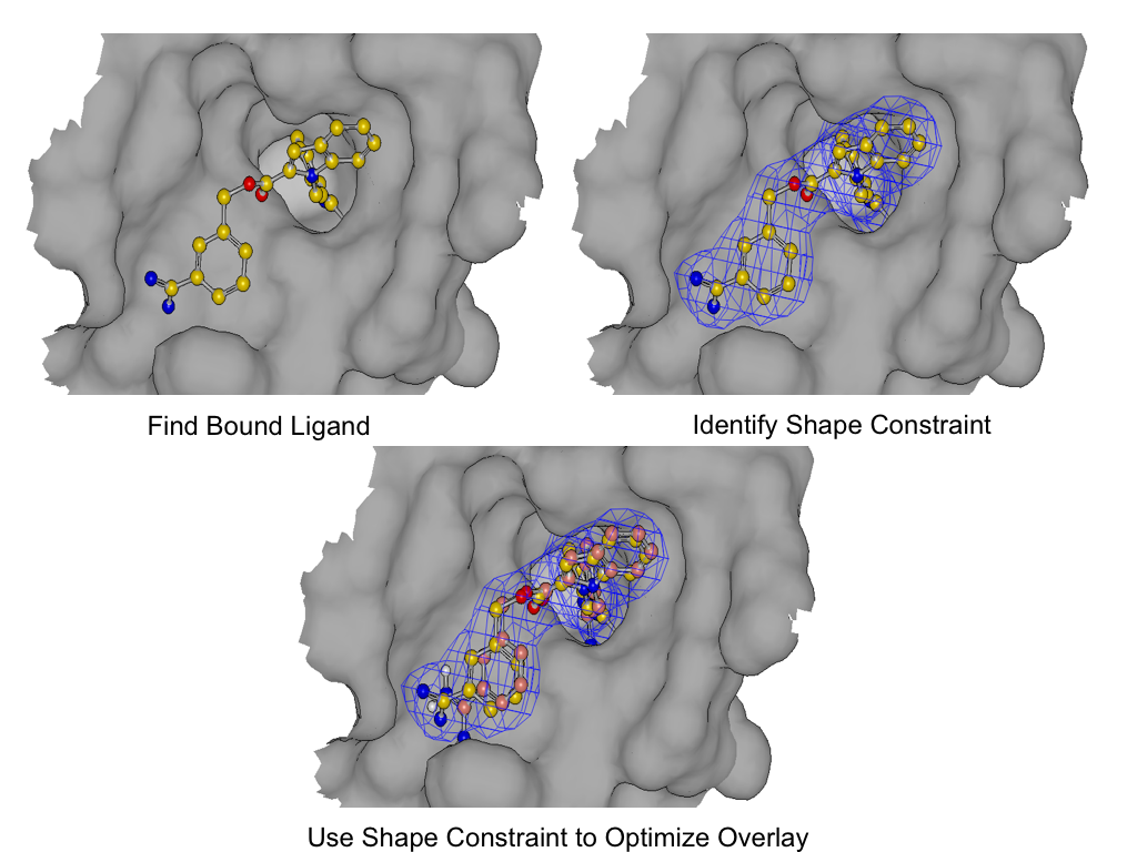 Molecular Docking Software for Virtual Screening